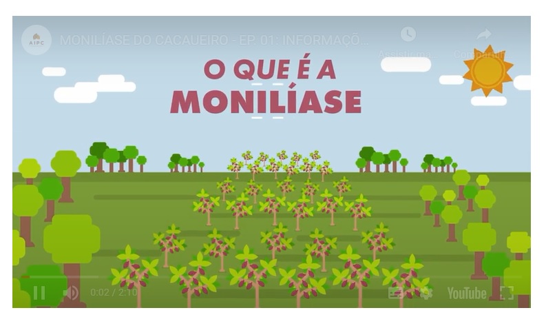 Série sobre prevenção da monilíase do cacaueiro é lançada no Brasil ...